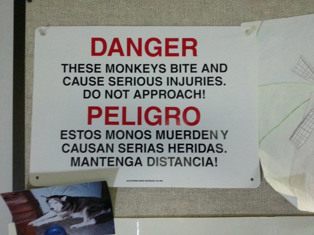 Confessions of a CAD Monkey. — Steemit
