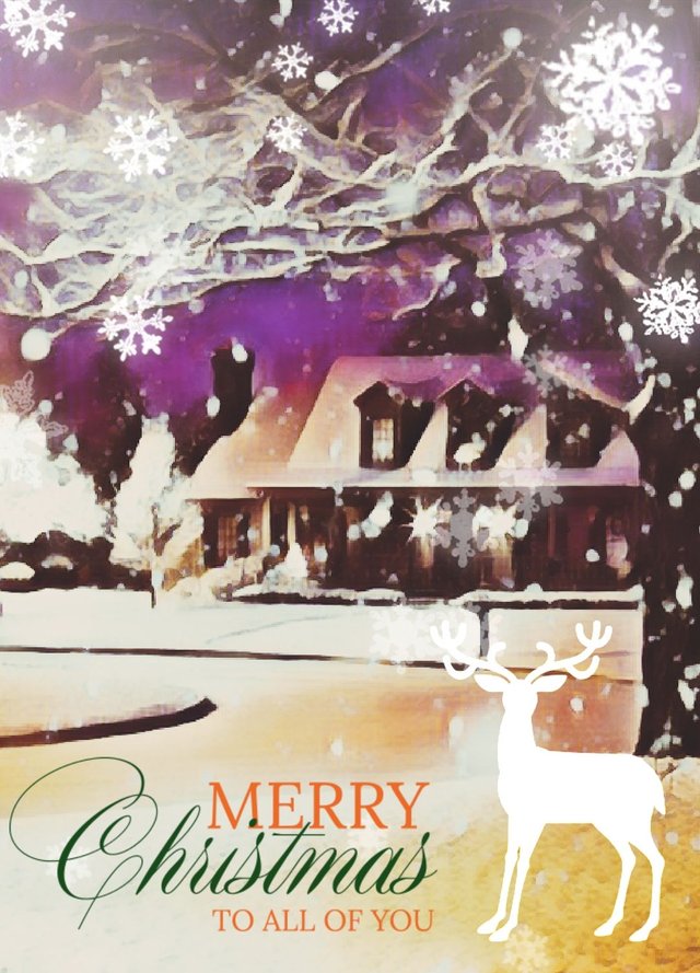 Merry Christmas Eve! Free gifs! — Steemit