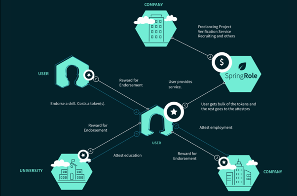 SPRINGROLE — Steemit
