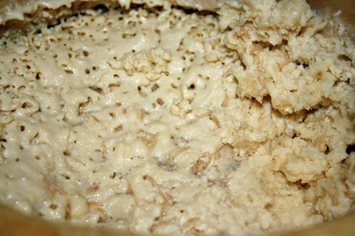 Curious Facts Contest #9 - Maggot cheese Casu Marzu Cheese facts ...