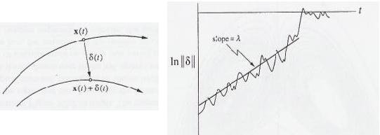 The butterfly effect the theory that changed the world - the theory of ...