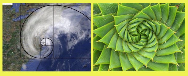 Hill Barn, nr East Kennett, Wiltshire. Reported Friday 6th May 2016 ...