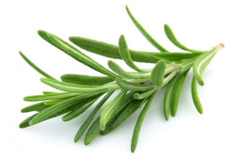 WHAT IS THE ROMERO — Steemit