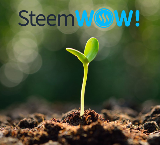 Steemit