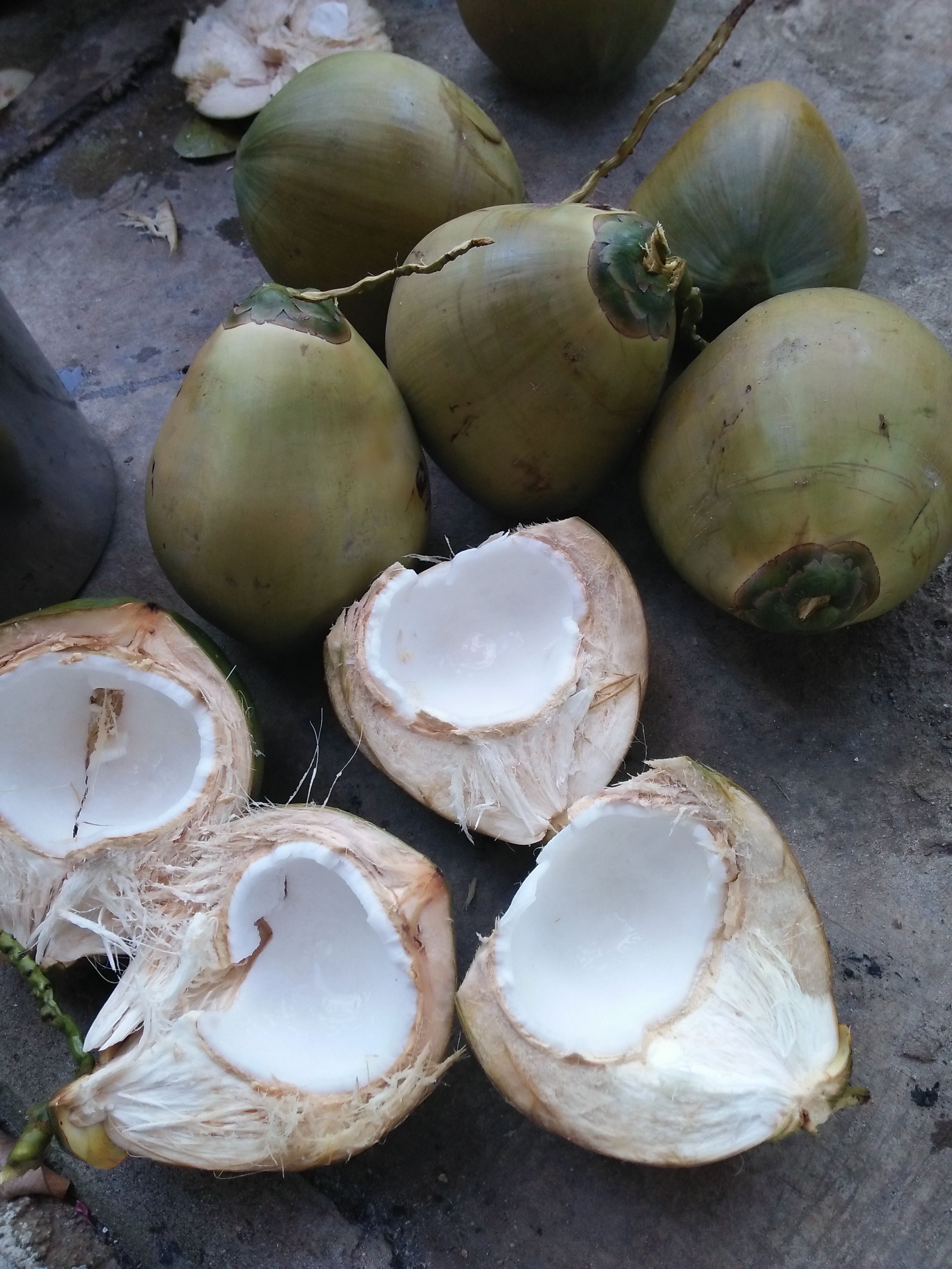 COCONUT LAMAW-A PERFECT BLEND FOR THIS SUMMER — Steemit