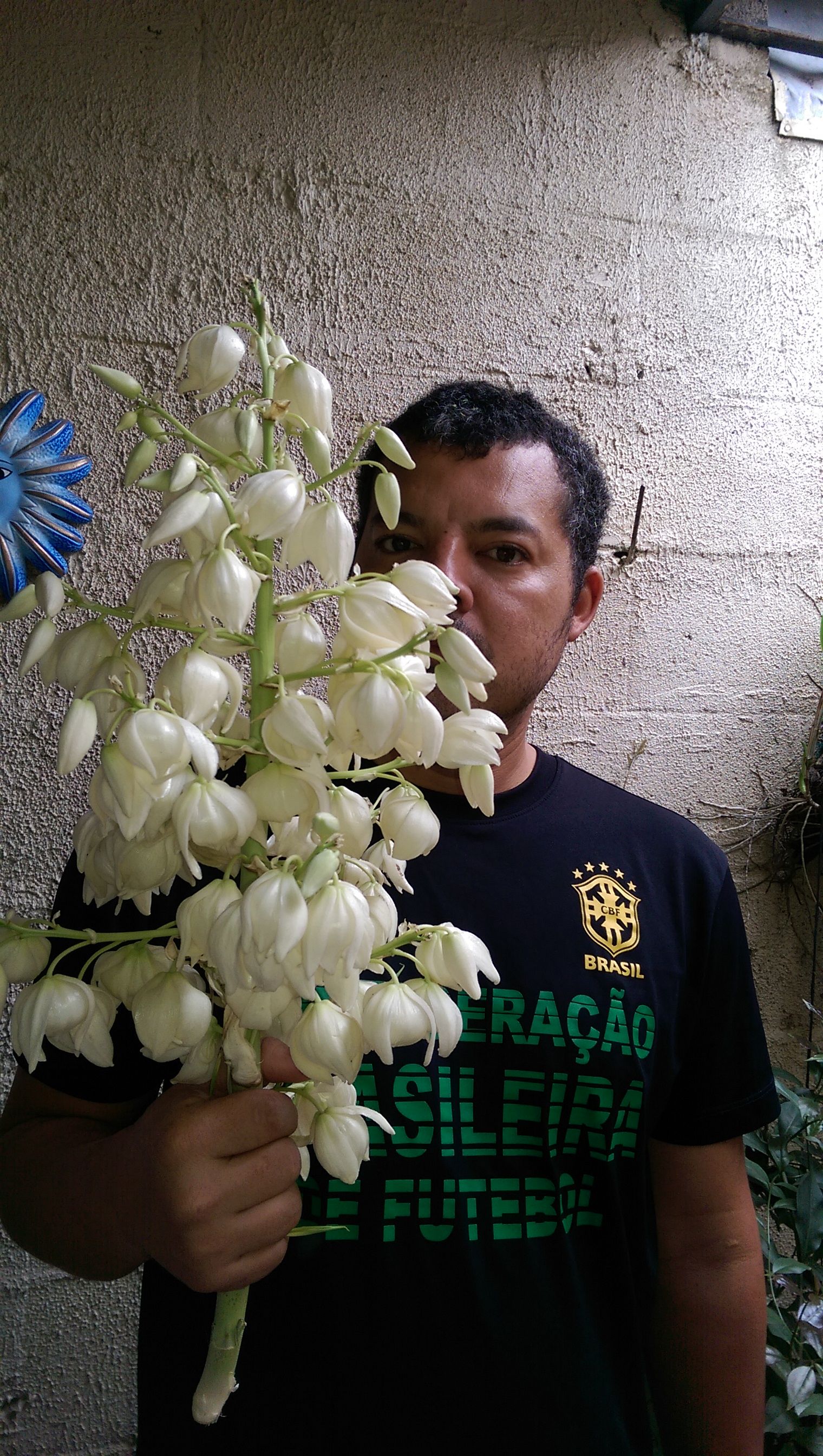 Izote Flowers | Best Flower Site