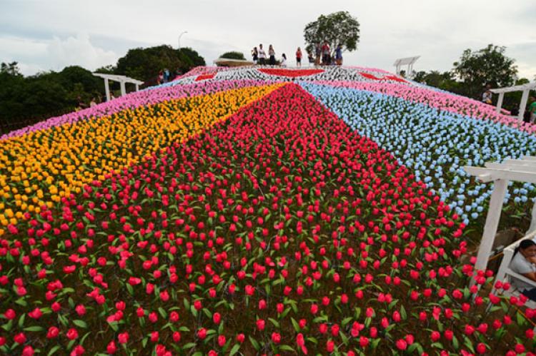 Flower Garden Bohol Philippines | Best Flower Site
