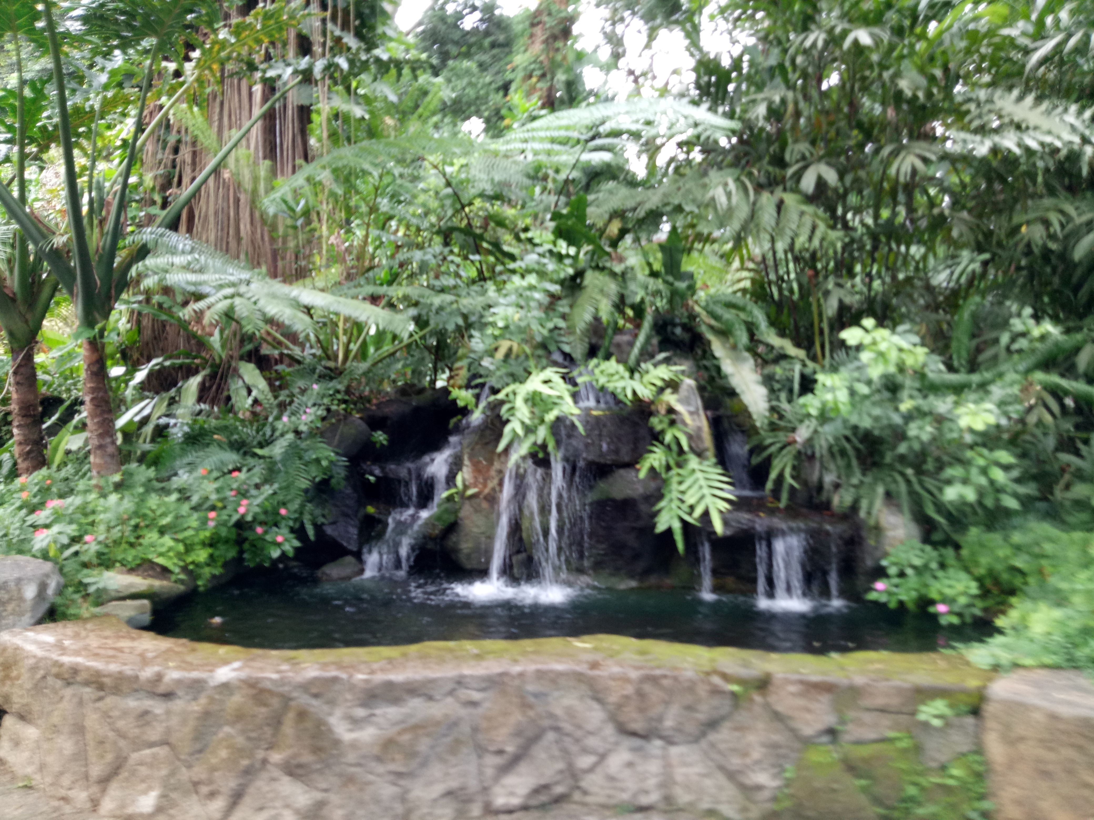 Makiling Botanical Garden | Fasci Garden