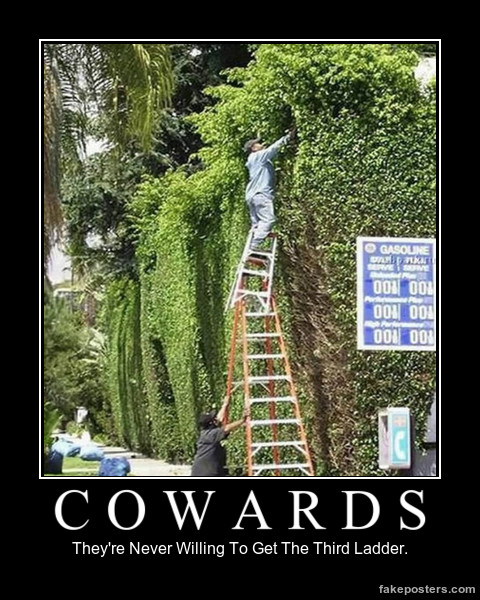 Funny Coward Memes They Call Me A Coward Funny Cow Animal Quotes"