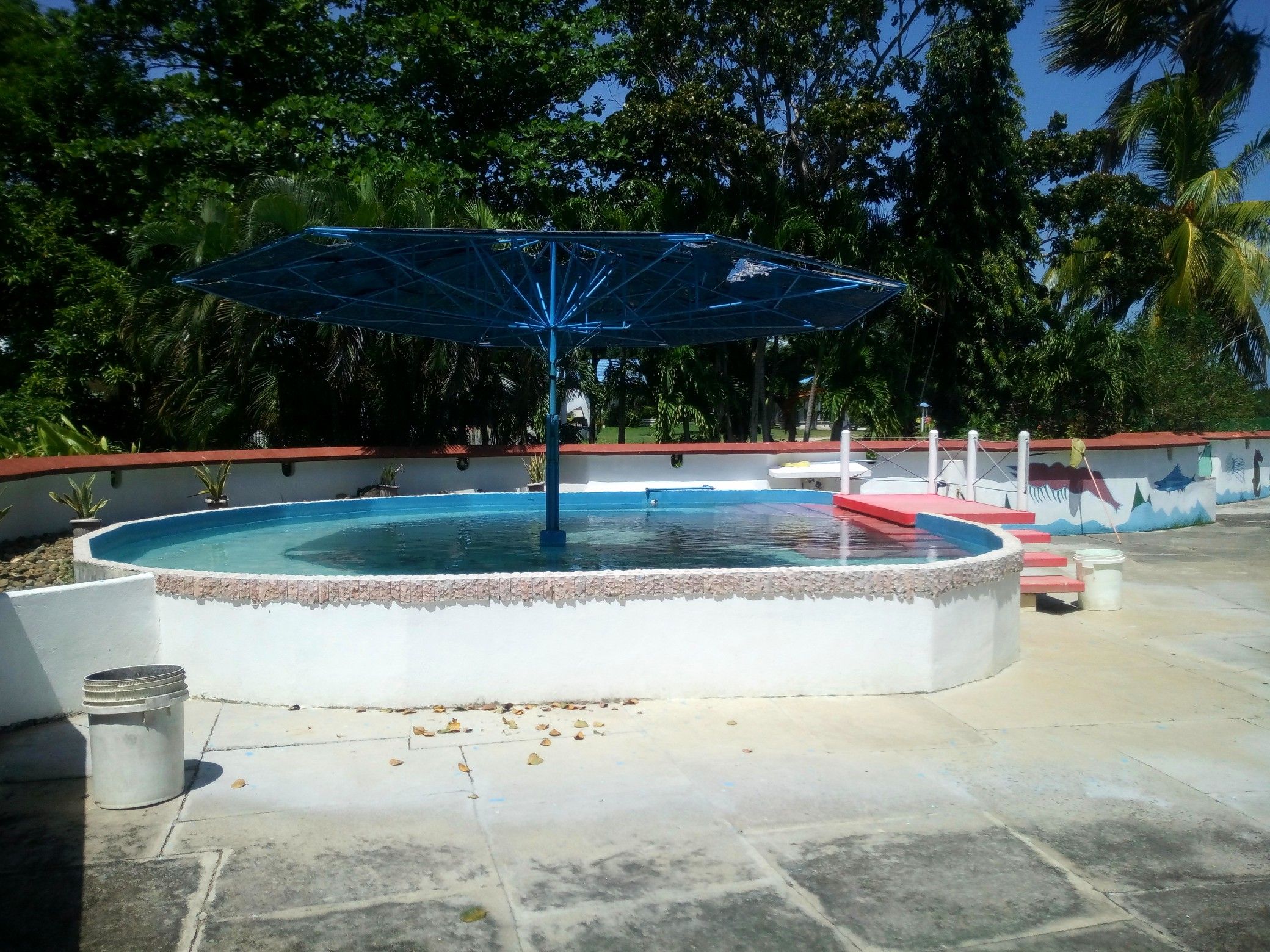 TRAVEL AND EXPLORE PHILIPPINES: BONISTA BEACH RESORTS — Steemit
