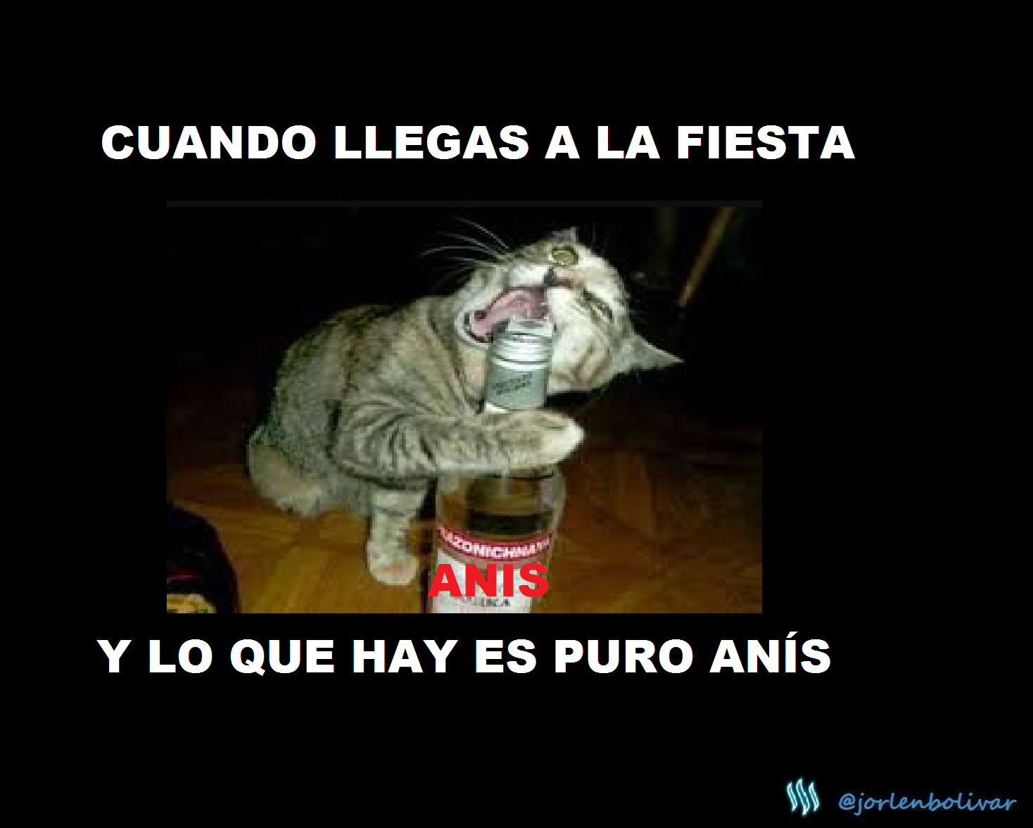 Memes Fiesta De Quito