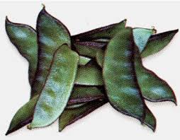 Sim vegetable — Steemit