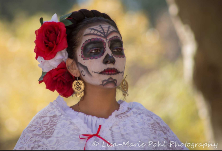  Day Of The Dead Summary Steemit