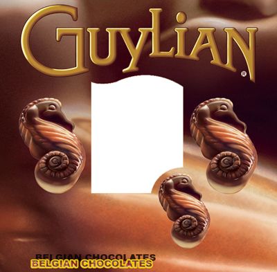 Guylian Logo Guylian Chocolate Seashells Gift Box 65g | Drakes Online