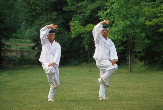 Taekkyeon - Korean traditional martial art — Steemit