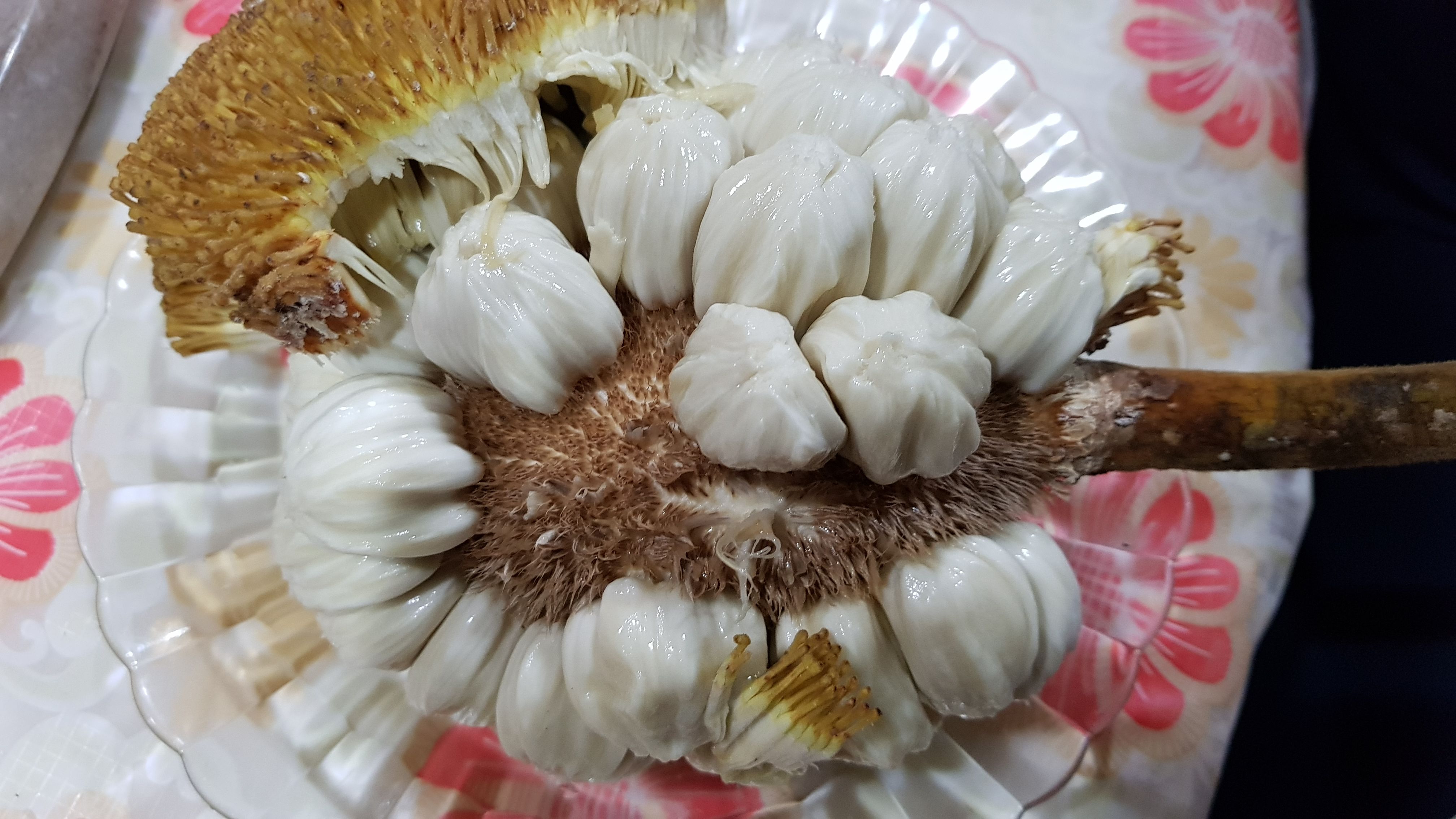 Tarap - Another Delicious Fruit From Borneo — Steemit