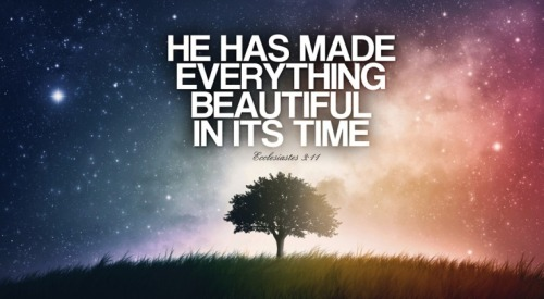 God's perfect timing: Ecclesiastes 3:11 He has made everything ...