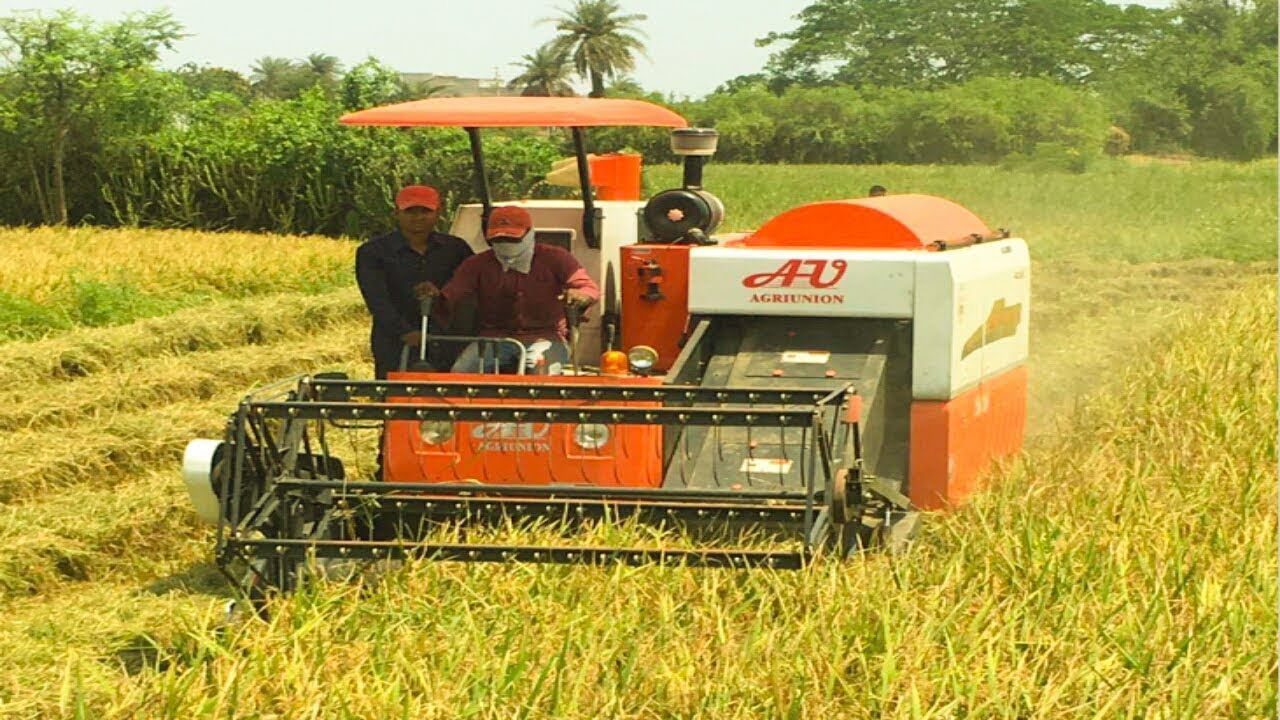 Ripar Rice Cutting Machine The World s Most Expensive Easy And Effective Machine Steemit