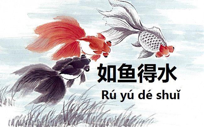 Chinese Proverb Catch Fish