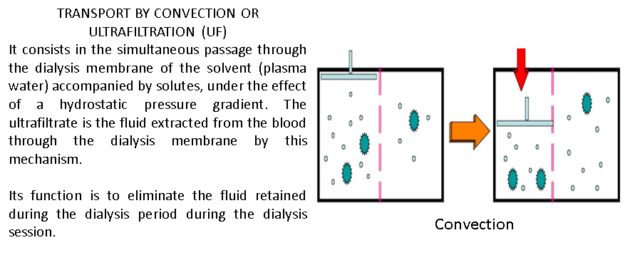 KNOW THE TREATMENT OF ADVANCED RENAL INSUFFICIENCY (PART ONE) — Steemit