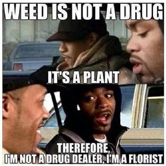 Pot Dealer Memes
