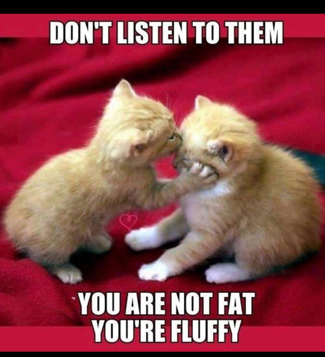 Fat Mom Memes