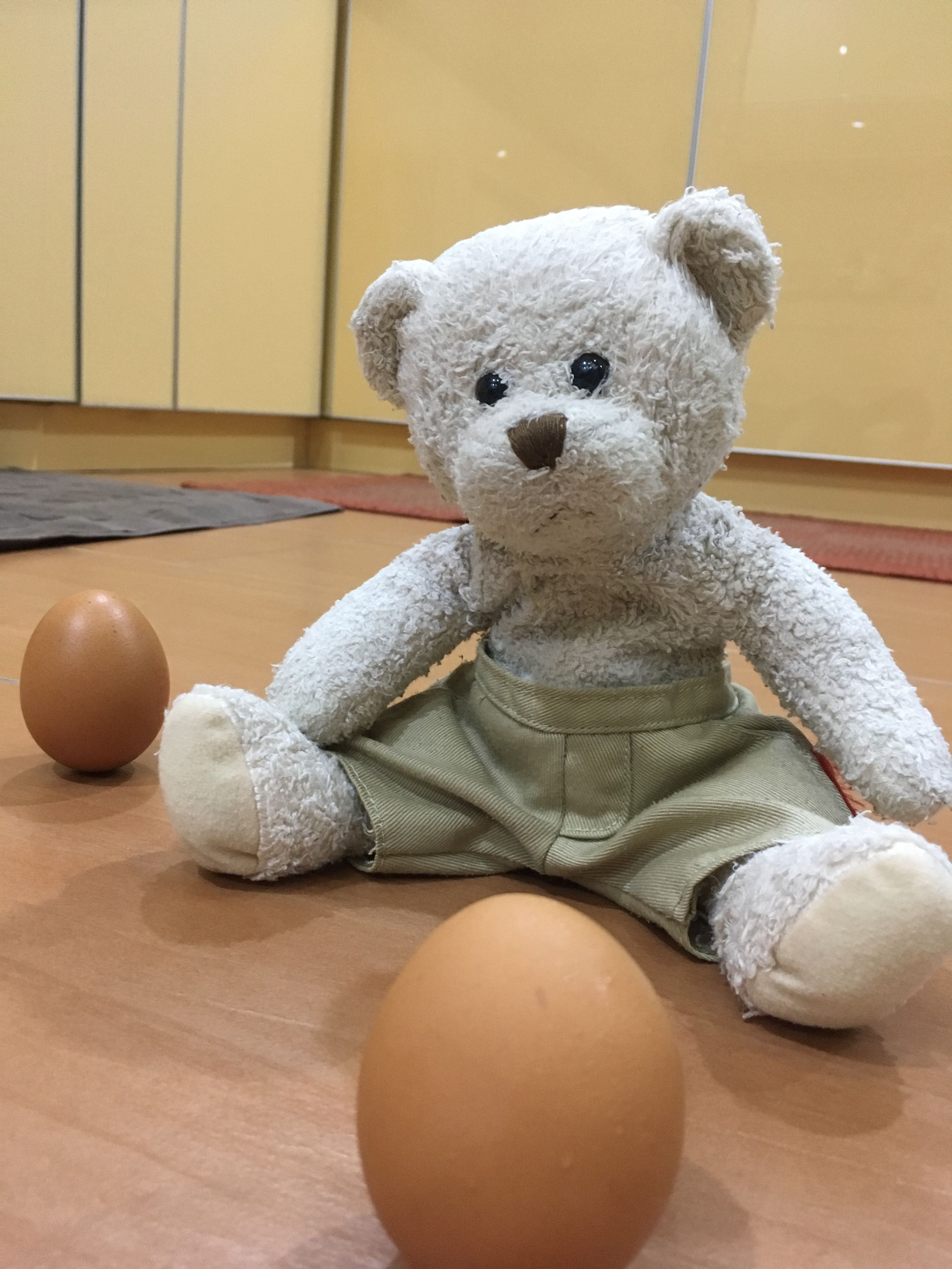 Happy Li Chun Day! ~ Start of Spring 'Lichun' (立春) — Steemit