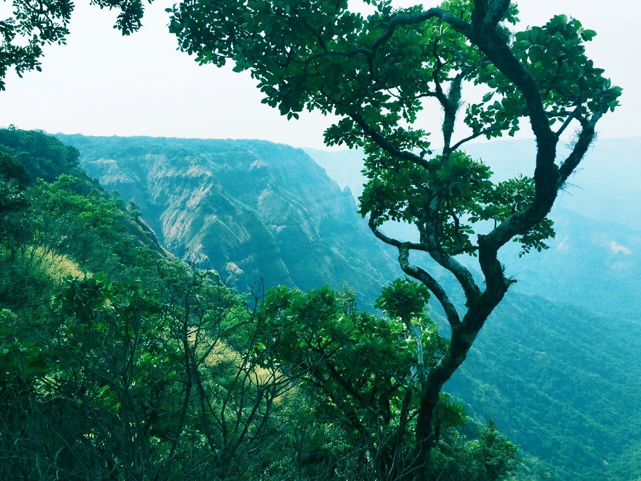 Vishalgad Fort….One Of The Most Important Fort Of The Maratha Empire ...