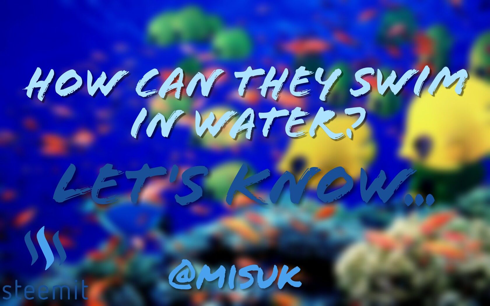How can fish and other animals swim in water? — Steemit