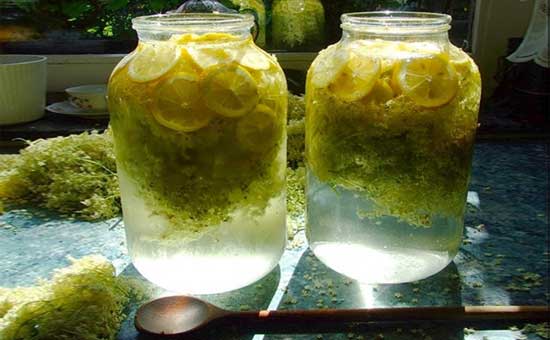 Socata - Elderflower soft drink — Steemit