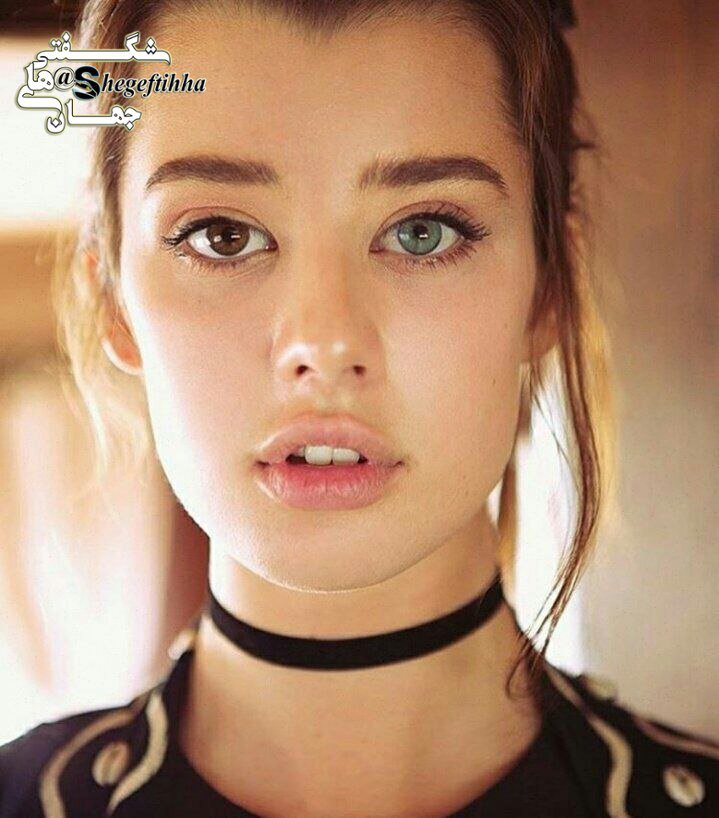 Double colored eyes — Steemit