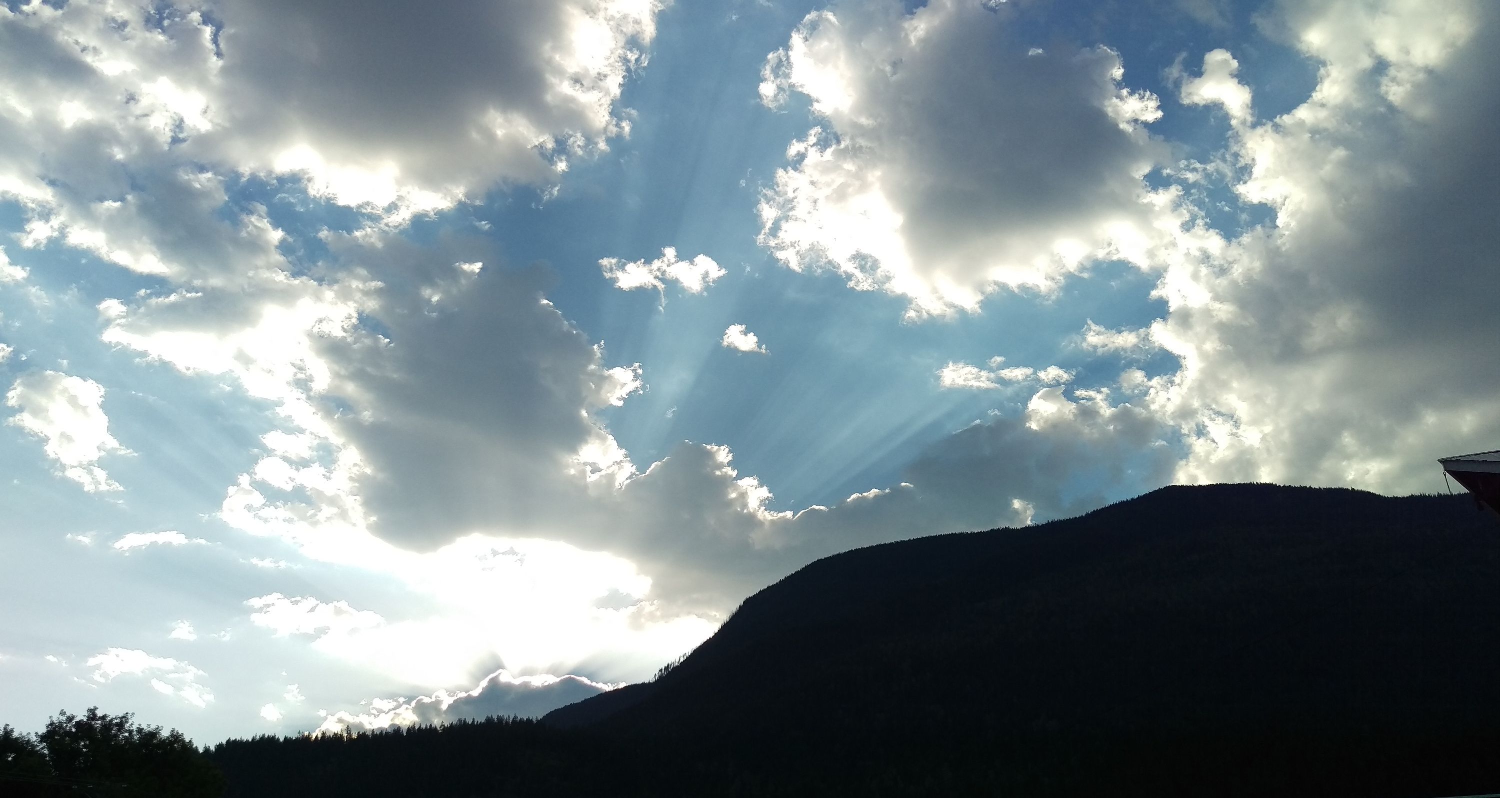 Good morning local Sun! — Steemit