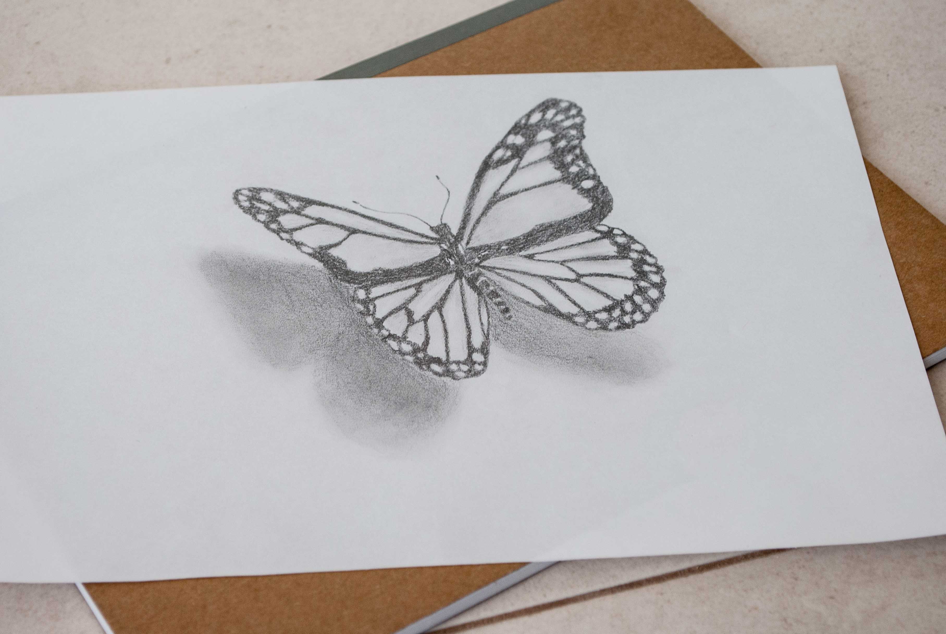 How To Draw A 3D Butterfly Step By Step Easy How To Draw A 3D Butterfly Step By Step Easy