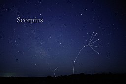 Scorpius Constellation — Steemit