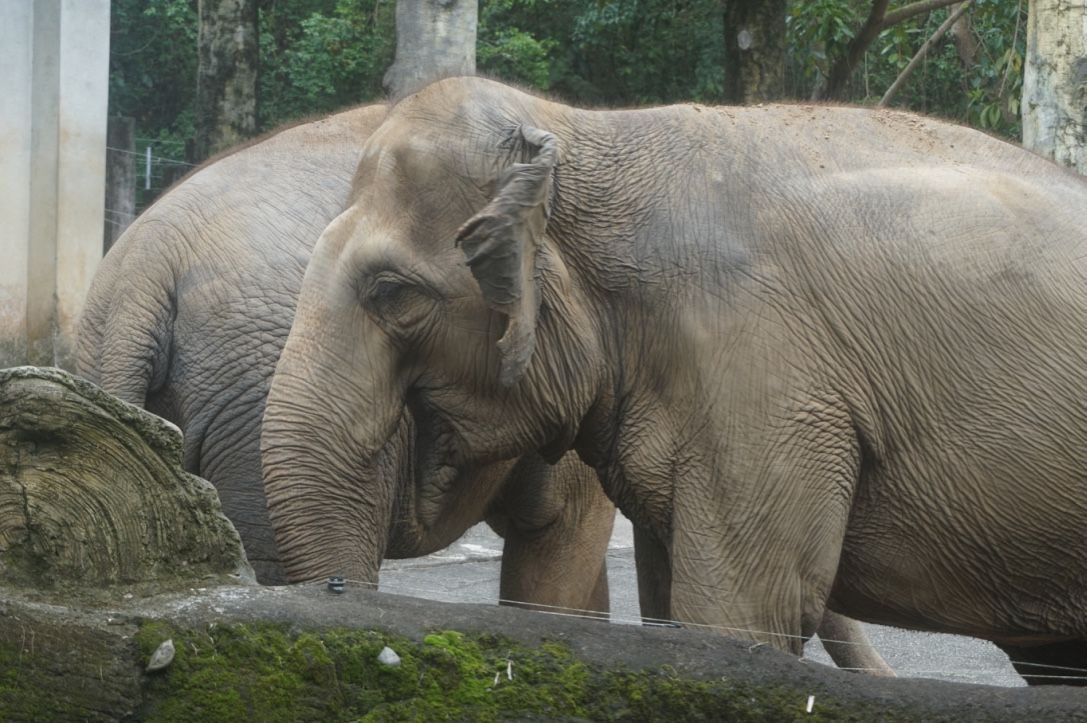 A Day At The Zoo Steemit