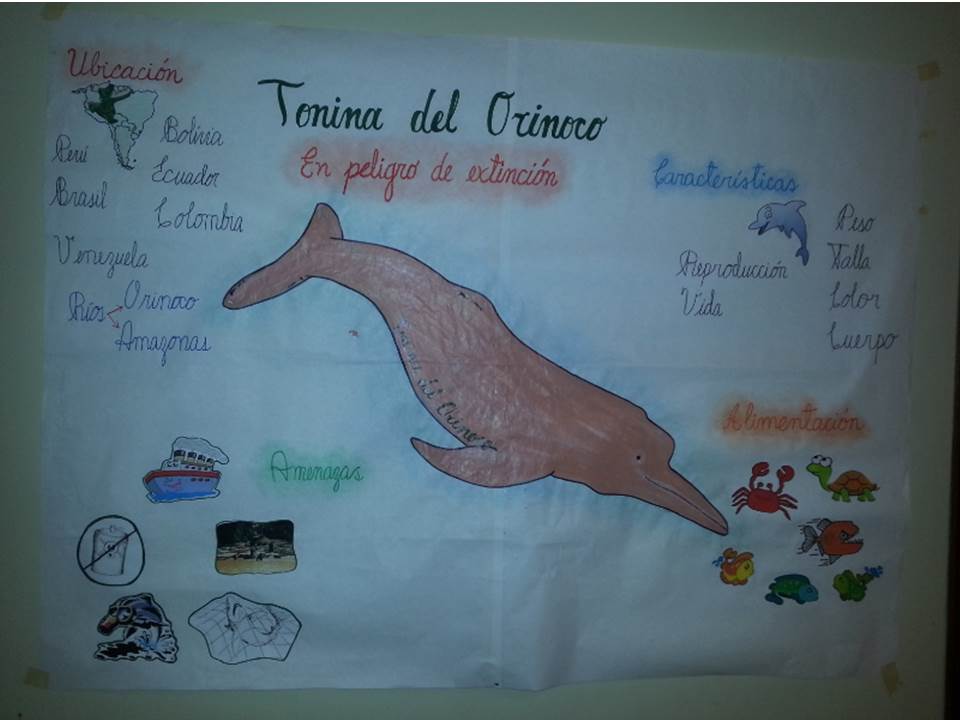 EL DELFÍN ROSADO (TONINAS DE AGUA DULCE). VENEZUELA — Steemit