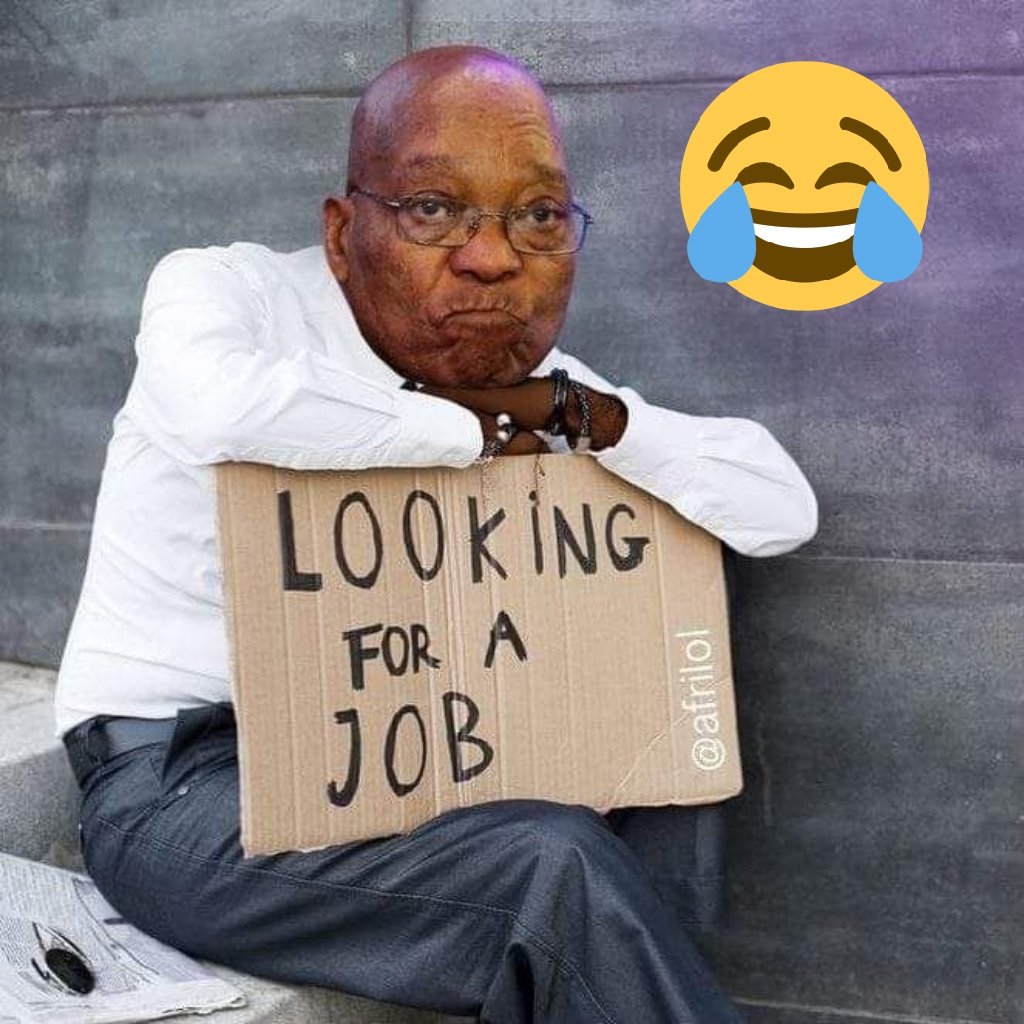 Zuma Finance Memes