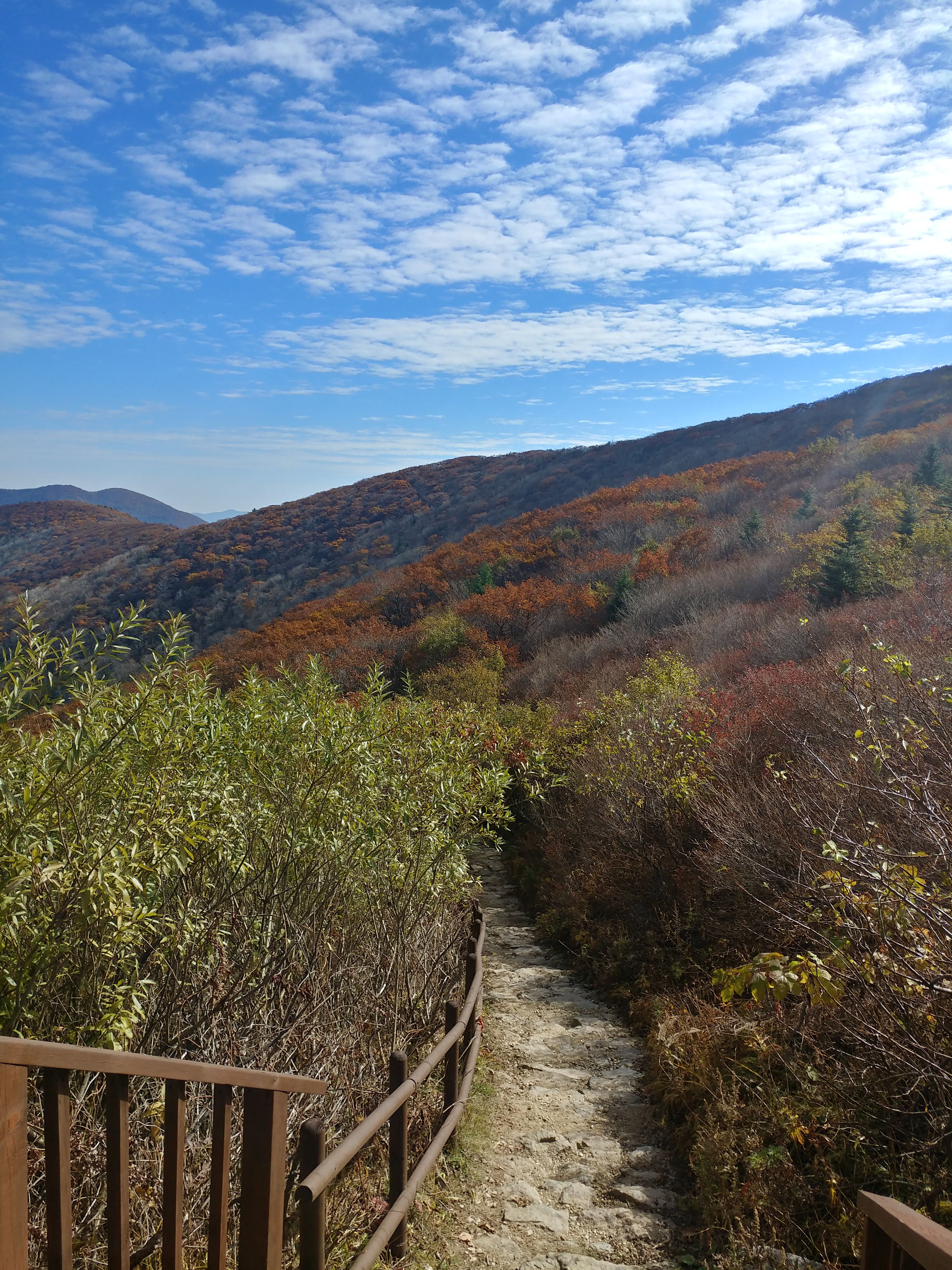 2017 가을 지리산 등산 풍경 — Steemit