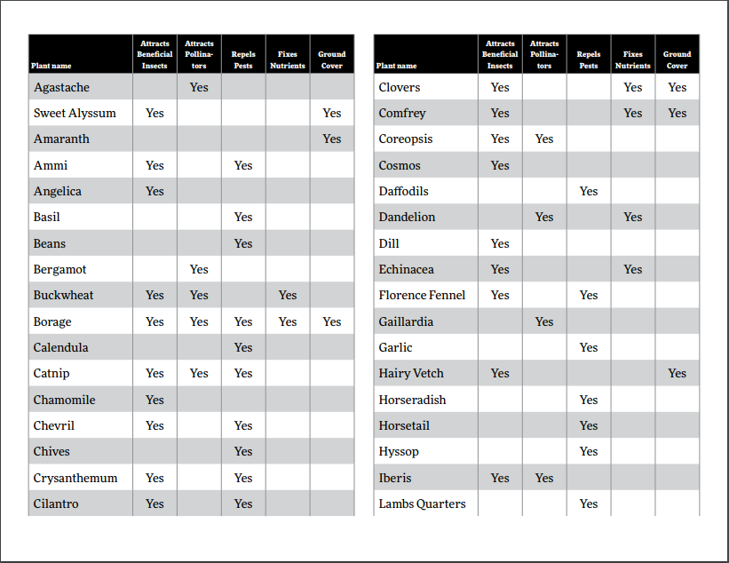 Companion Plant Breakdown - Easy Reference Chart — Steemit