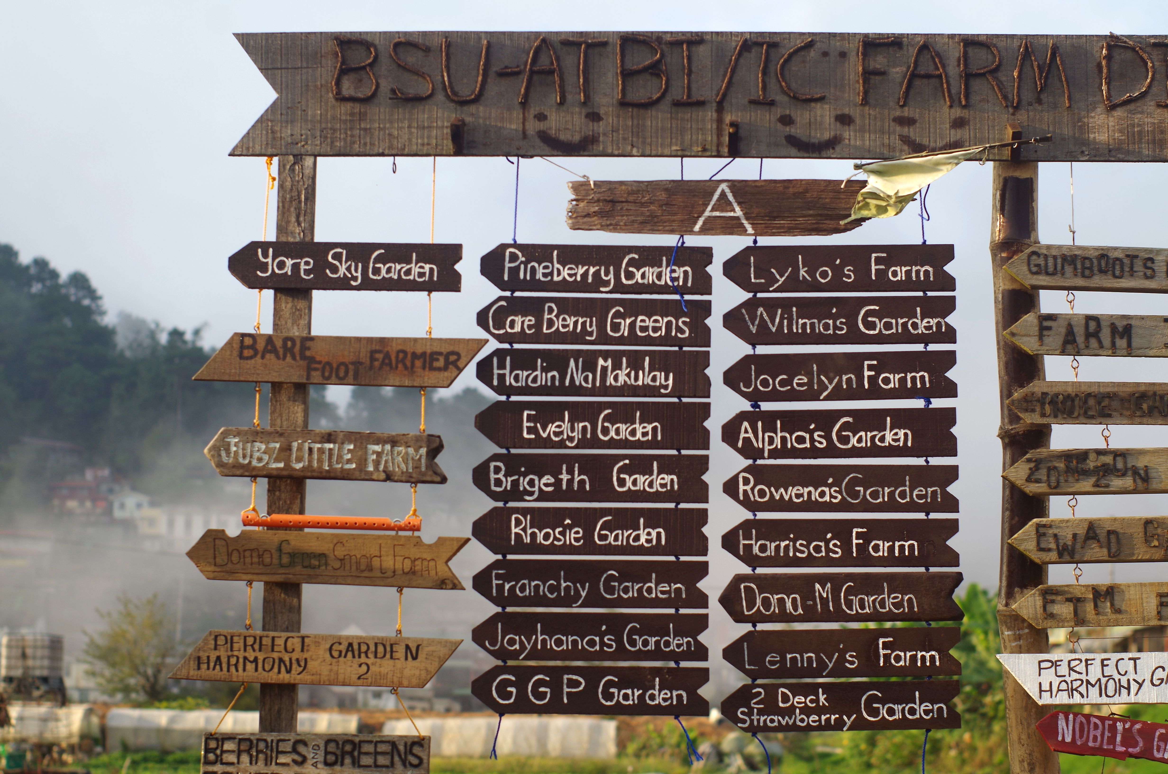 La Trinidad Benguet Farm — Steemit