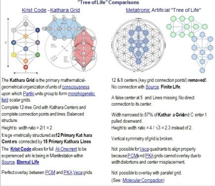 Keylontic Science, DVDs, everything in Torrent form! and my REAL ...