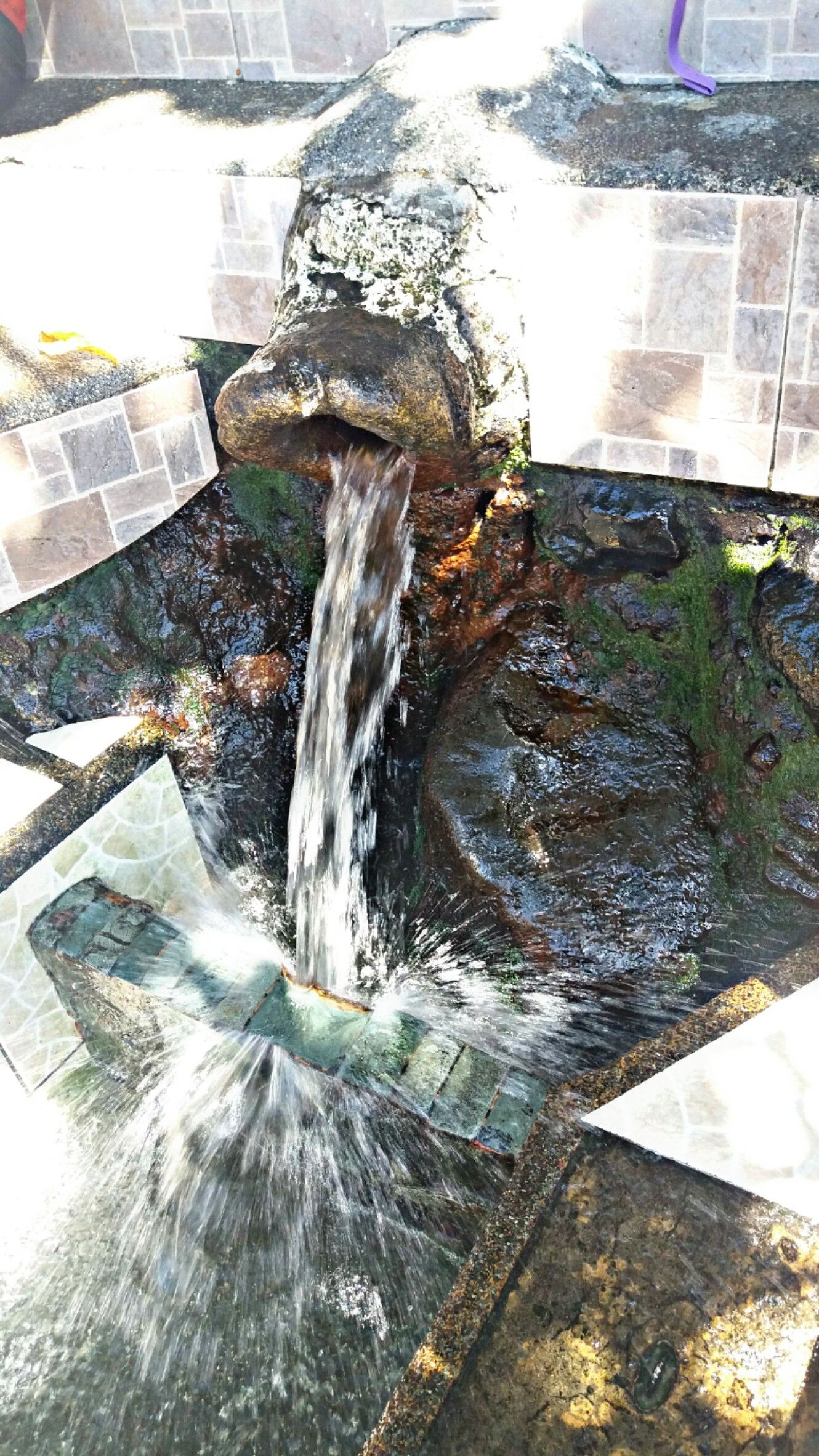 OUR VACATION - TURUMBA SPRING RESORT AT PAKIL, LAGUNA — Steemit