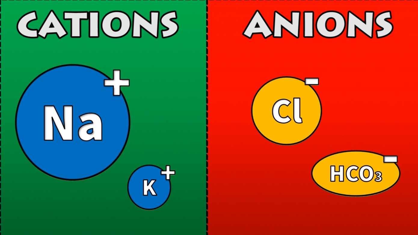 WHAT IS ANION GAP AN EDUCATIONAL POST Steemit