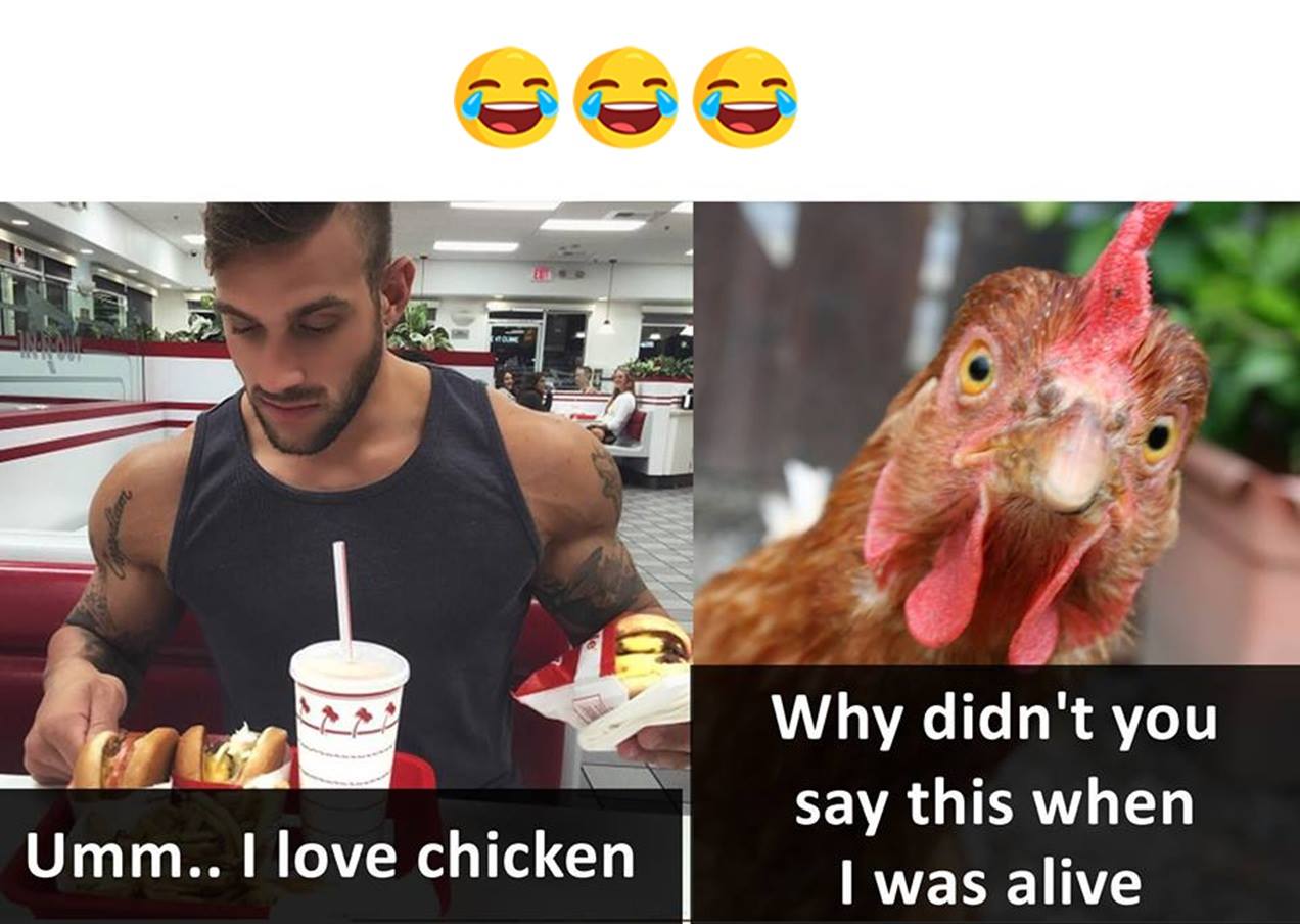 Love Chicken Memes Do You Like Chicken Nuggets? Because I Have A