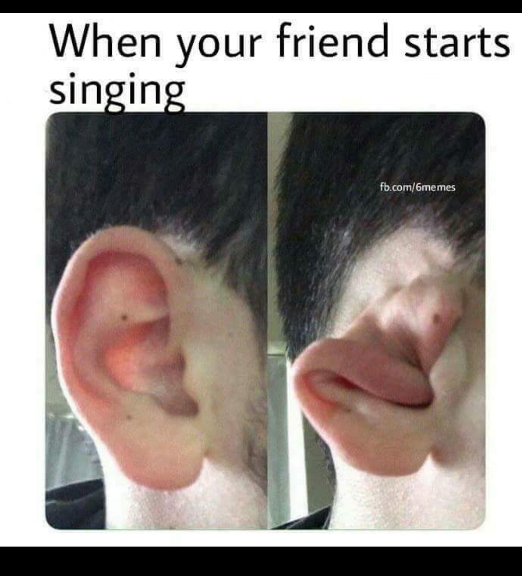 Memes Friend Song