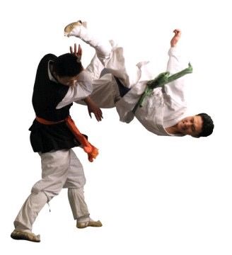 Taekkyeon - Korean traditional martial art — Steemit