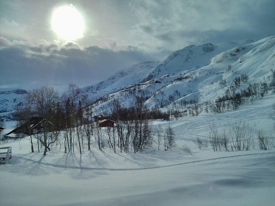 🌍 Oslo - Myrdal - Flam - Bergen - Bodo ... Amazing Norway! 🚀 — Steemit