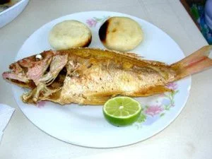 GASTRONOMÍA DEL ESTADO ZULIA (MARACAIBO) VENEZUELA. — Steemit