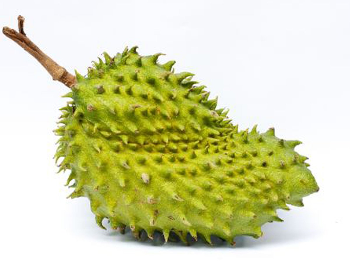 Health Benefits of Graviola a.k.a Soursop — Steemit