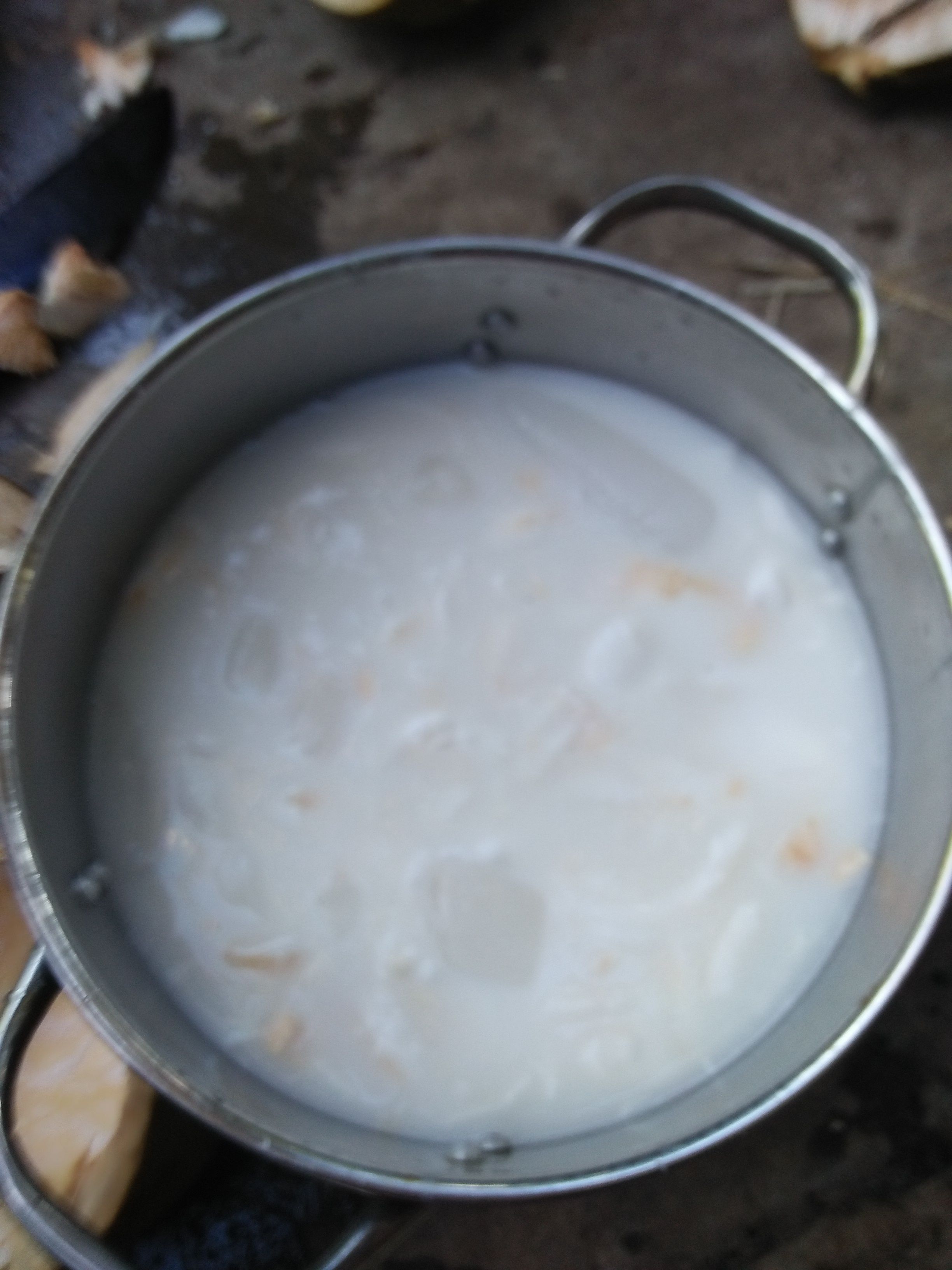 COCONUT LAMAW-A PERFECT BLEND FOR THIS SUMMER — Steemit